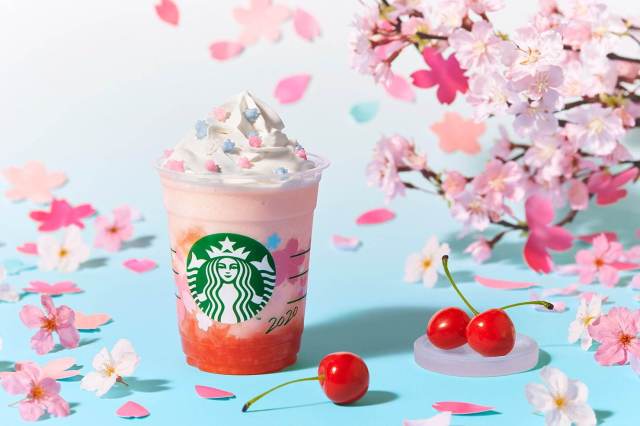 6 Things You Should Know About Hanami in Japan – Travel Hokkaido